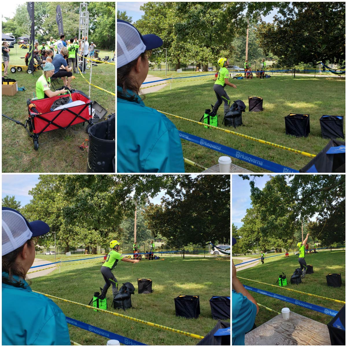 International Tree Climbing Competition in Knoxville, Tennessee - Iowa ...
