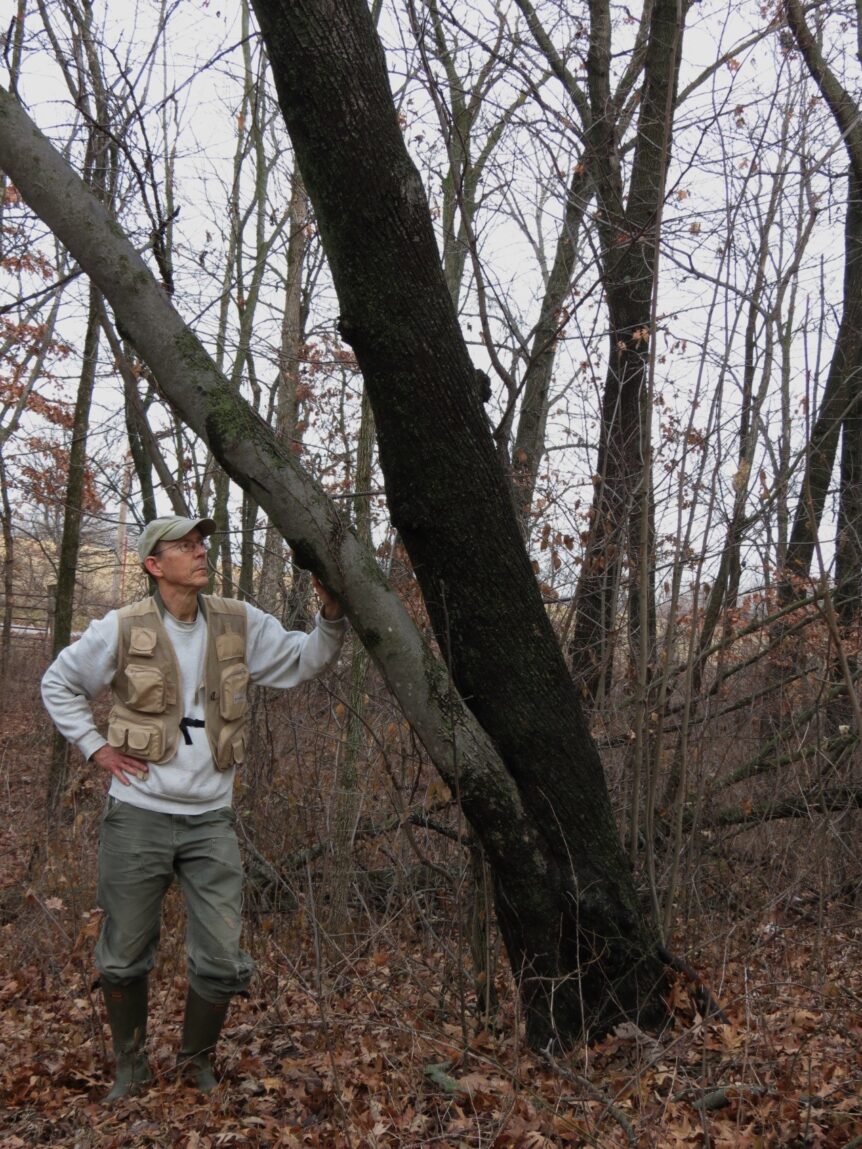 Mark Rouw Iowa BIG Tree: Report Jul-Dec 2023 - Iowa Arborist Association