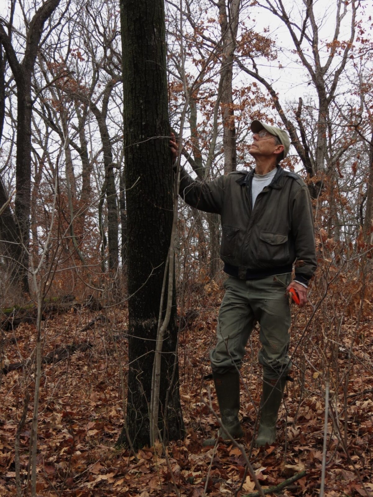 Mark Rouw Iowa BIG Tree: Report Jul-Dec 2023 - Iowa Arborist Association